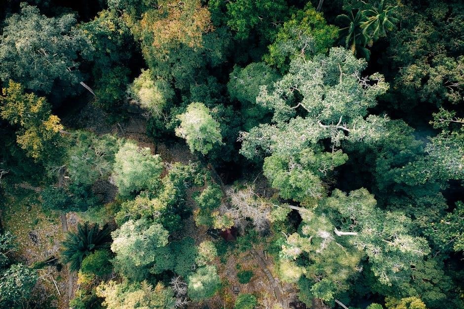 RTA Cabinet Assembly: Your Easy PDF Guide!